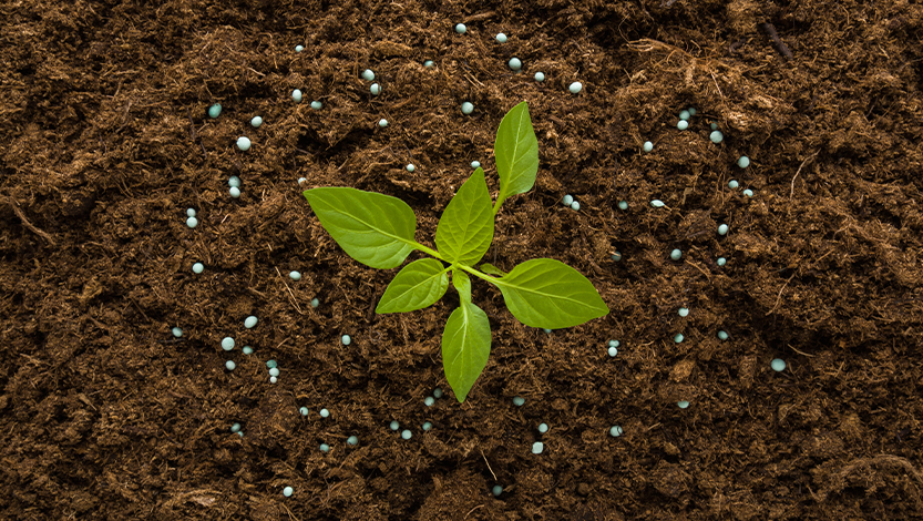 Entenda como funciona a FBN e porque ela é tão importante - Agrivalle ...