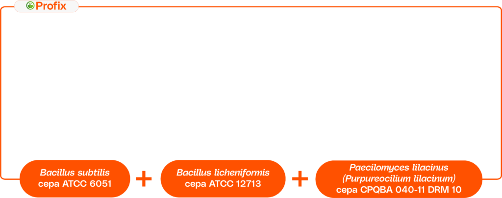 Profix - Agrivalle | Bioinsumo Agrícola
