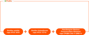 Profix - Agrivalle | Bioinsumo Agrícola