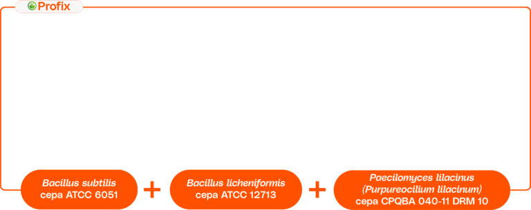 Profix - Agrivalle | Bioinsumo Agrícola