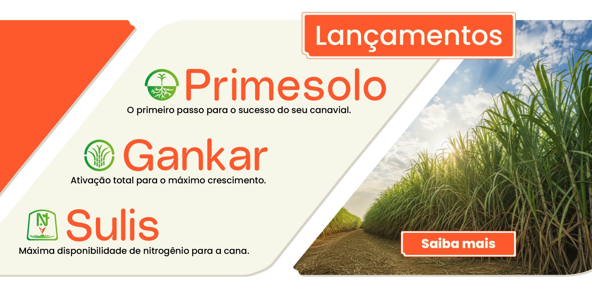 Produtos Nutrição - Agrivalle | Bioinsumo Agrícola